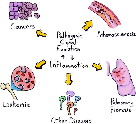 Clonal Evolution And Disease Pathogenic Clonal Expansions Can Promote