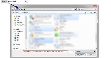 extjs 3 4 0 upload multiple files