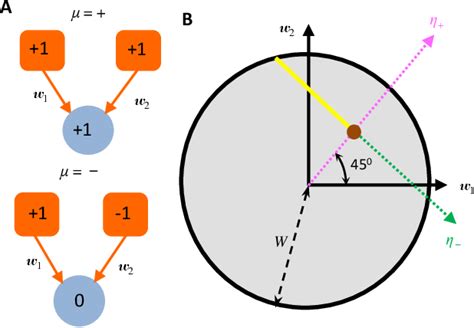 Figure 2 From Geometric Framework To Predict Structure From Function In Neural Networks