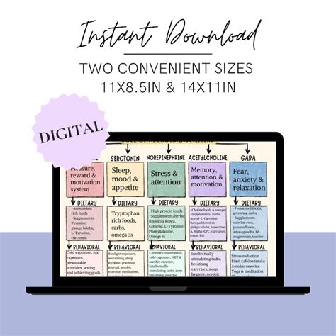 Neurotransmitters Chart Your Guide To Brain Chemistry Counseling Tool Etsy