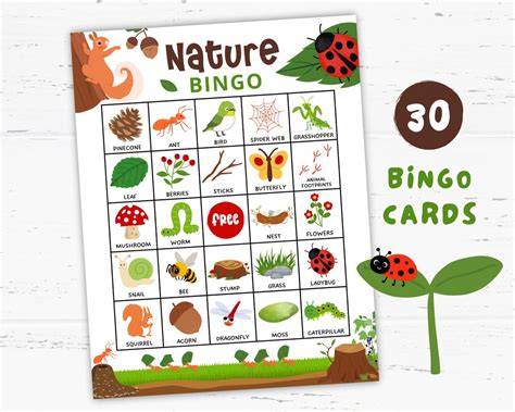 Nature Bingo Cards Printable Nature Games Nature Activities Nature