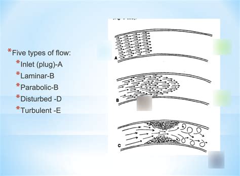 Applied III Flow Types Diagram Quizlet