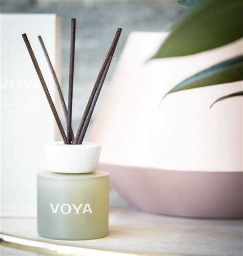Oh So Scented Reed Diffuser Ginger Chai And Mandarin Voya Beauty