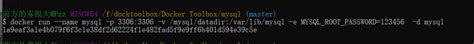 Docker 安装启动mysql 并用navicat链接docker上启动mysql使用navicat链接 Csdn博客