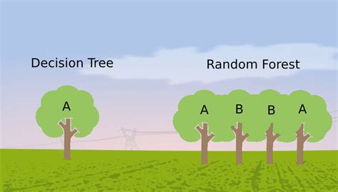 Decision Trees And Random Forests All You Need To Know Machine
