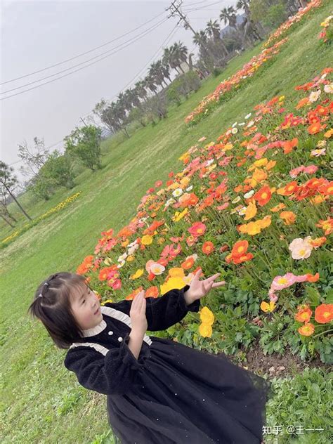 宝妈带娃 知乎