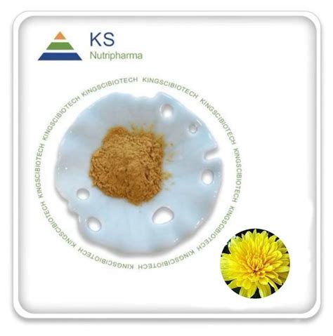Chrysanthemum Extract Kingsci