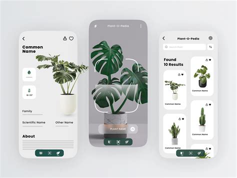 Plant Detection App Minimal Ui By Mohd Anas On Dribbble