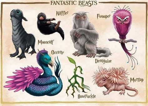 Pin By Mxrxt On Fantastic Beasts Harry Potter Creatures Magical