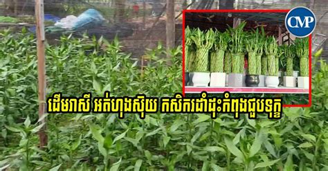 ព្រោះតែពាក្យ សម្ដីគ្រូហុង ស៊ុយ មួយ ម៉ាត់ ធ្វើ ឱ្យកសិករ ដាំ ដើម រាសីទឹក ភ្នែក