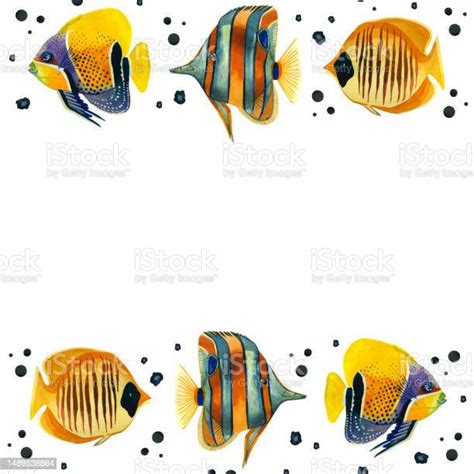 정사각형 프레임입니다 밝은 색상의 열대어는 흰색 배경에 떨어집니다 모든 것이 수채화로 손으로 그려져 있습니다 인쇄 엽서 명함 초대장에 이상적입니다 가공의 인물에 대한 스톡