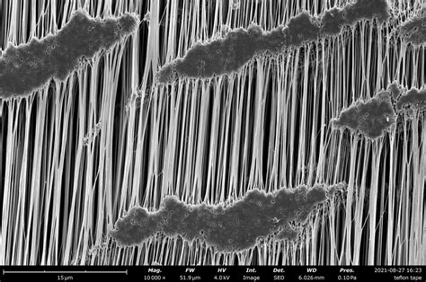 Scanning Electron Microscopy Nanoscience Instruments