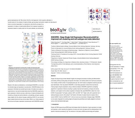 Discern Deep Single Cell Expression Reconstruction Baiome