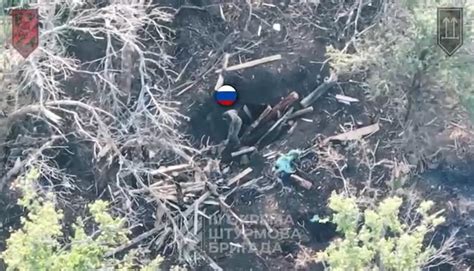 ЗСУ взяли в полон окупантів за допомогою наземного дрона Опубліковано відео безпрецедентної