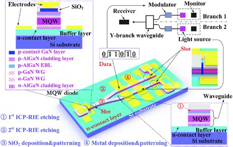 Schematic Diagram Of The Proposed Photonic Integrated Chip Download