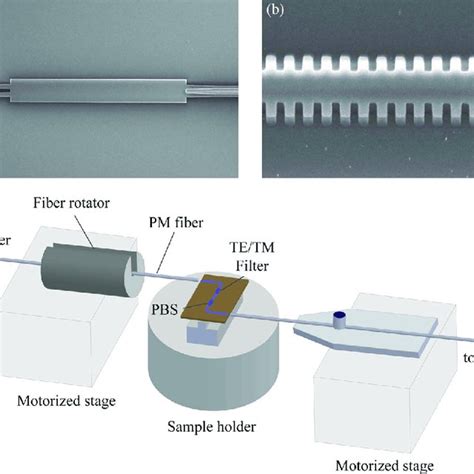 Calculated Spectra Of An Apodized Grating For A Te And B Tm Download Scientific Diagram