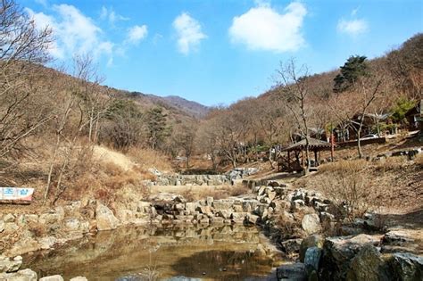 용인 봄 나들이 용인자연휴양림 즐기기 네이버 블로그