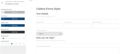 Divi Plugin Highlight Caldera Forms Style Customizer For Divi And Extra Ask The Egghead Inc