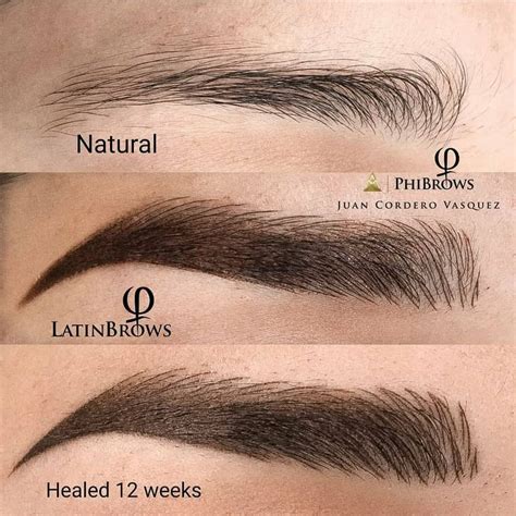 Branko Babic PhiAcademy в Instagram PHI is not a Beauty phi is natural optimisation brows