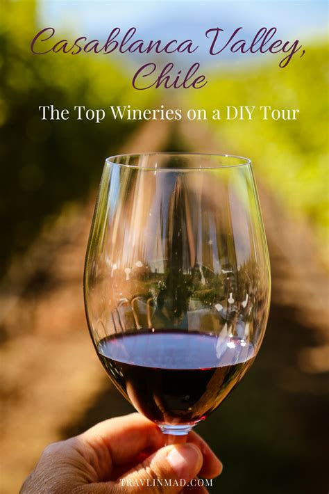 The Best Casablanca Valley Wineries To Visit In Chile — Travlinmad Slow