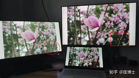 显示器避坑选购指南与详细推荐 知乎