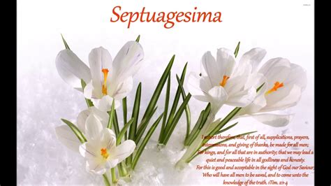 Septuagesima Youtube