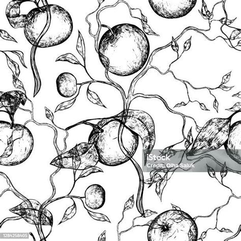 분기와 사과의 원활한 패턴 손으로 그린 벡터 그림 가을 과일은 빈티지 스타일로 배경을 스케치합니다 벽지 인쇄 카드 질감 직물 랩 직물용 흑백 디자인 0명에 대한 스톡 벡터