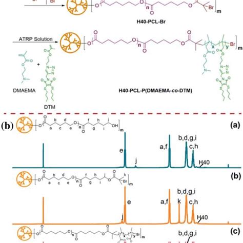 A Synthetic Route Of The Dendritic Star Copolymer Download Scientific Diagram