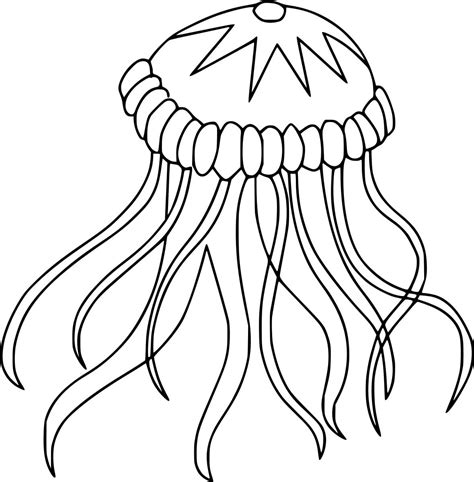 Compass Jellyfish Image Coloring Pages Coloring Cool
