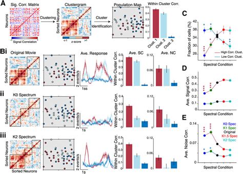 Clustering Analysis Reveals Distinct Ensembles Of Highly Correlated