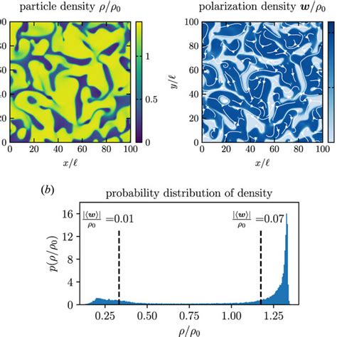 Numerical Simulation Results Of Mips Combined With Flocking In A
