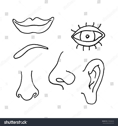 Illustration Parts Human Face Stock Vector Royalty Free 678668626