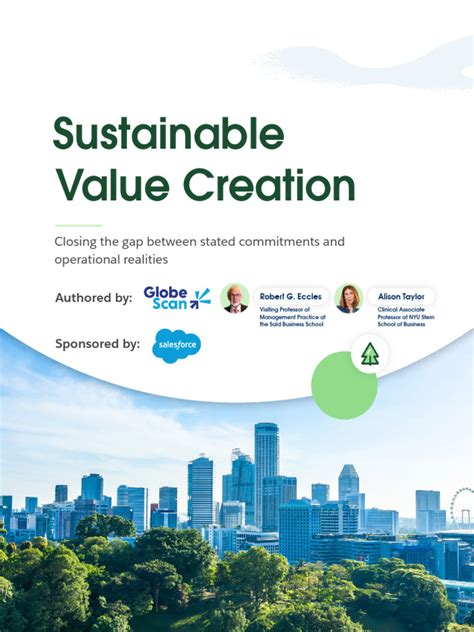 Globescan Sustainable Value Creation Report Pdf Sustainability