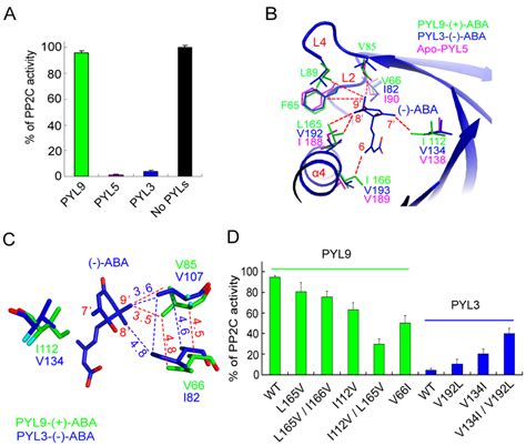 The Stereospecificity Of Pyls To Aba Or − Aba A The Different Download Scientific