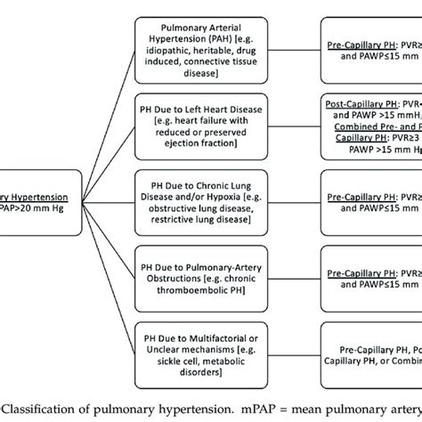 Classification Of Pulmonary Hypertension Mpap Mean Pulmonary Artery