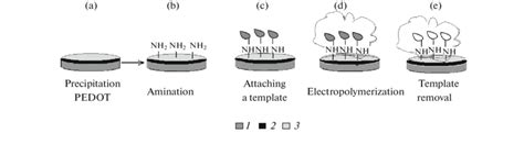 Scheme Of Chemical Modification Of An Electrode Based On Lig 1