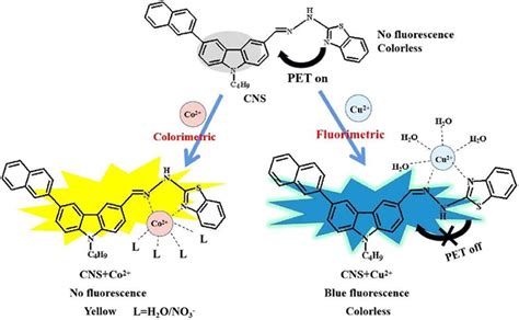Carbazole‐based Dual‐functional Chemosensor Colorimetric Sensor For