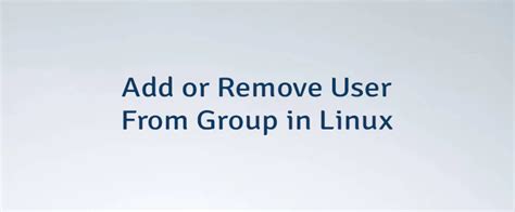 Add Or Remove User From Group In Linux Lindevs