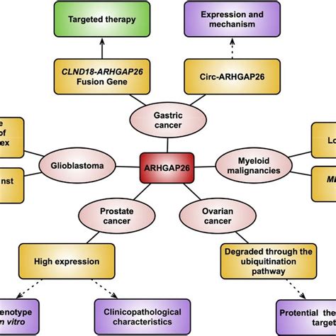 The Cycle Of The Gtp Binding And Gtp Hydrolysis And Signaling Functions Download Scientific