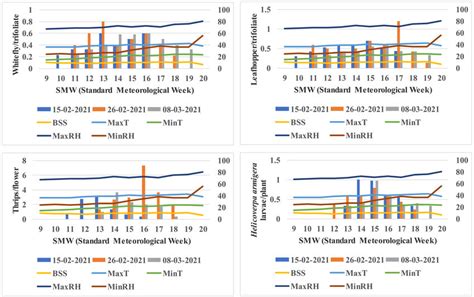 Population Of Insect Pests In Different Date Of Sowing At Download