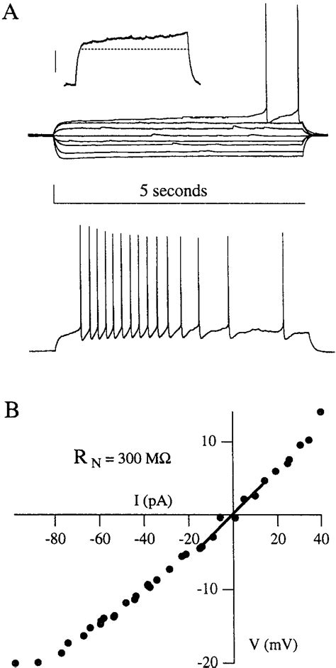 Physiological Properties Of Late Spiking Neurons A Voltage Traces Download Scientific Diagram