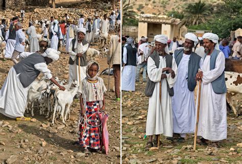 Eritrean Tigre Wedding