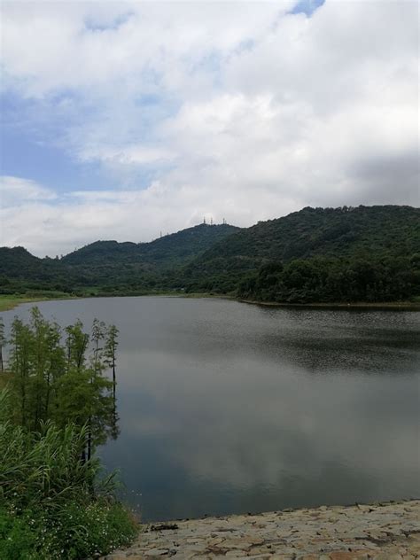 2023黄山鲁森林公园游玩攻略人很少，空气清新，比较大， 【去哪儿攻略】
