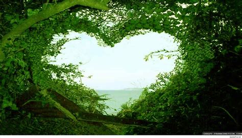 Cute Natural Wallpapers Wallpaper Cave