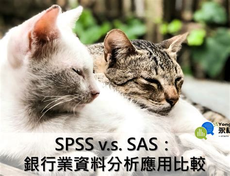 【excel 數據轉置教學】 永析統計及論文諮詢顧問