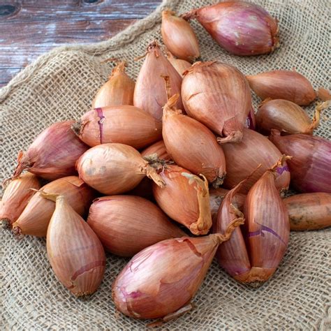Best Faq What Are Shallots