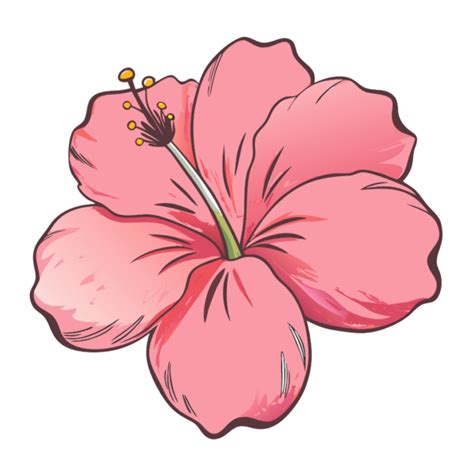 Pink Hibiscus Flower Clipart Free Png Svg Vector