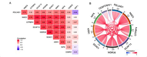 Correlation Analysis Of Key Genes A Correlation Heat Map B Chord