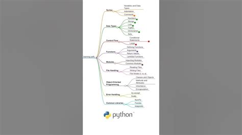 Python Basics Roadmap Pythontutorial Youtube