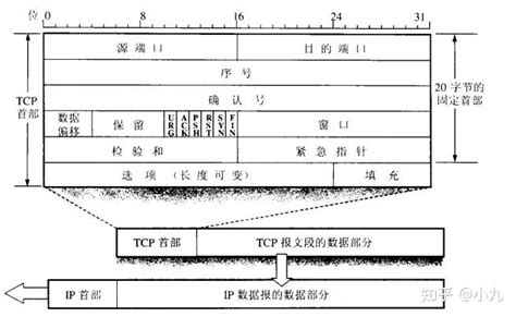 Java 网络编程完全总结 知乎